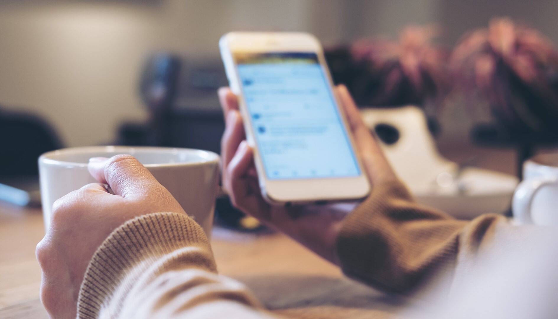 Trademark registrability of geographic names: Lessons from the “LAS ...